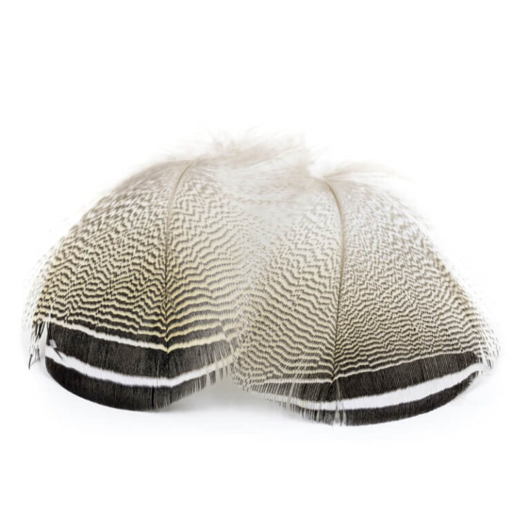 WAPSI Wood Duck Black and White Flank - flymart